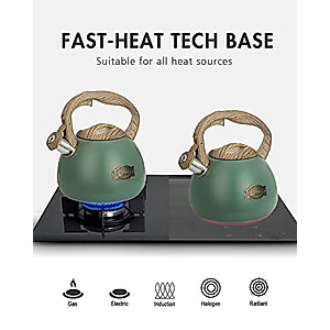 POLIVIAR Tea Kettle, 2.7 Quart Stovetop Tea Kettle, Audible Whistling Teapot, Food Grade Stainless Steel for Anti-Rust, Anti Hot Handle, Suitable for All Heat Sources (JX2022-MN30)