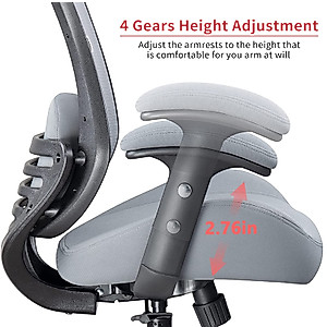 LONGBOSS Office Chair Ergonomic Desk Chair Mesh Computer Chair Height Adjusting Arm Waist Support Function -Grey