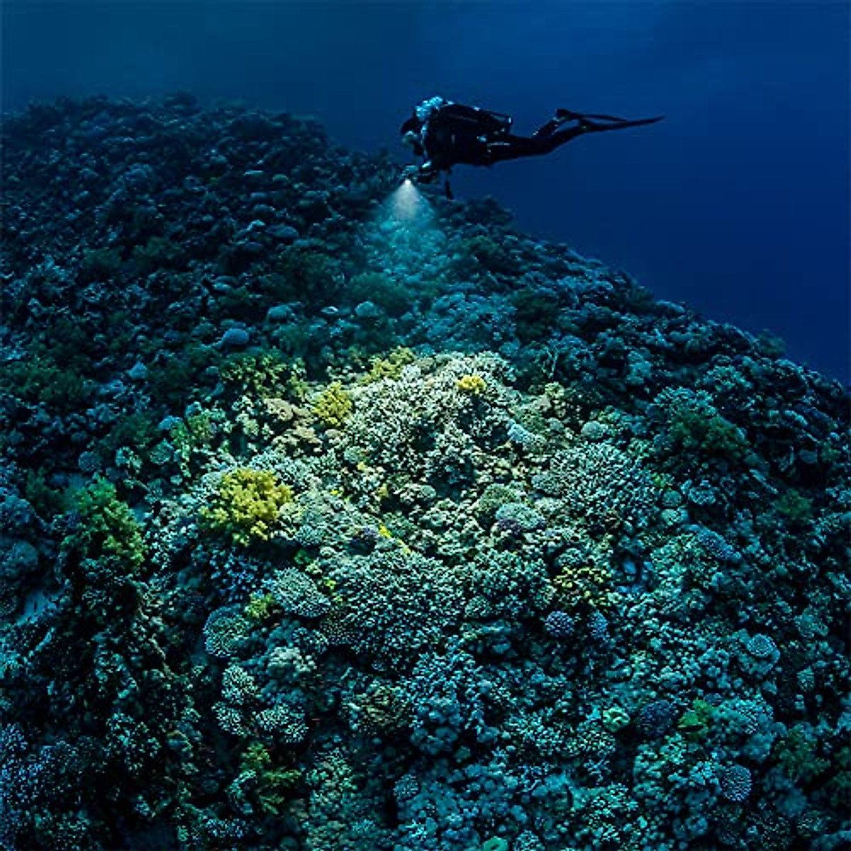 SeaLife Micro 3.0 Pro Dual Beam Set with Sea Dragon 3000SF Pro Dual Beam 3000 COB LED Lumens Photo-Video Light and Micro 3.0 Underwater Camera