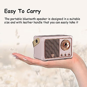 Baolira Retro Bluetooth Speaker Wireless Mini Speaker,Outdoor Bluetooth Speaker with Crystal Clear Stereo Sound Rich Bass, Portable Speaker Best Birthday Gifts Ideas for Women Teenage(Pink)