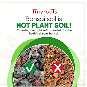 Bonsai Outlet Bonsai Soil Mix - Tinyroots All Purpose Bonsai Soil Mix Ready to Use Blend, Used for All Varieties of Bonsai Trees, 2.5 Gallons