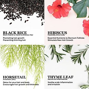 PERFECX - Black Rice Hair Oil 2 fl oz - for Scalp Treatment - 48 hours Herbal Infused Ayurvedic Natural Ingredients - Hair Strengthening and Growth Promotion