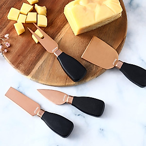 hecef Cheese Knife & Acrylic Stand Set of 5 - Stainless Steel Cheese Slicer with PP Handle & Acrylic Stand