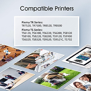 H&BO TOPMAE Compatible Canon Ink 280 and 281 Cartridges 280XXL 281XXL PGI-280XXL CLI-281XXL Ink Cartridge for Canon Pixma TS6320 TR8520 TR7520 TS9120 TS6120 TS8120 TS9521C Printer Tray(5 Pack