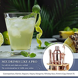 JNWINOG Cocktail Shaker Set,12Pcs-Shakers Bartending with 25oz Martini Shaker and Bamboo Stand, Cocktail Mix Drink Making Kit Professional for Bartender(Rose Copper)