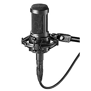Audio-Technica AT2035 Cardioid Condenser Microphone Bundle with Pop Filter, XLR Cable, and Austin Bazaar Polishing Cloth