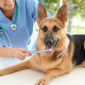 2 Pack Small Dog Toothbrush,360 Degree Silicone Cat Toothbrush Pet Dental Care Dog Oral Hygiene Deep Clean Pet Teeth Cleaning Kit Soft Bristles Friendly to Gums, Easy to Handle, Fresh Breath - Medium