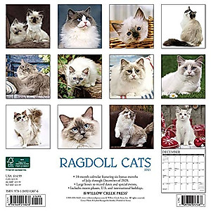 Ragdoll Cats 2021 Wall Calendar