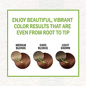 Schwarzkopf Simply Color Permanent Hair Color, 6.68 Hazelnut Brown