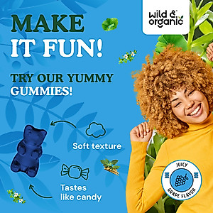 Wild & Organic Brain Support Gummies - Focus Supplement w/Ashwagandha Root, Vitamin B12, Ginkgo Biloba, Bacopa - Vegan Chews for Clarity & Productivity - 60 Brain Gummies