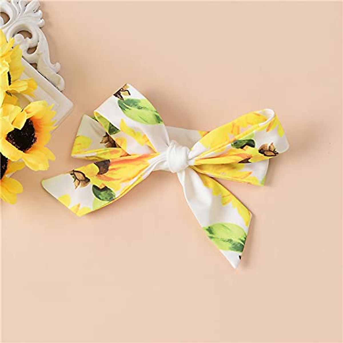 Honykids Toddler Baby Girls Sister Matching Outfits Little Sister Big Sister Clothes Set