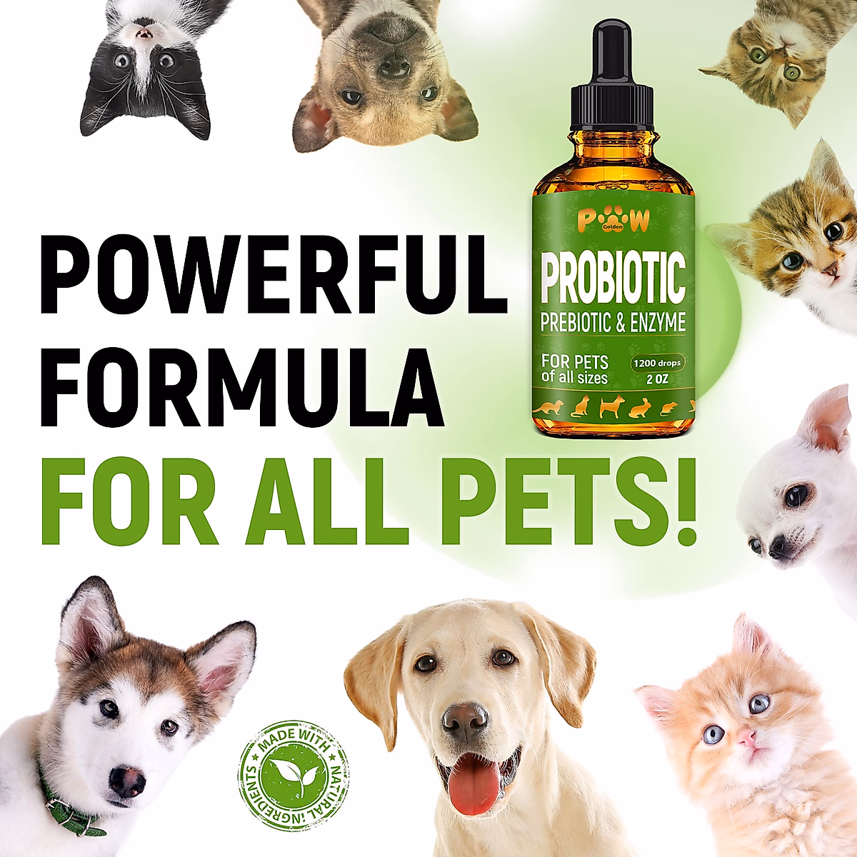 Cat & Dog Vitamins and Supplements | Probiotics for Cats | Multivitamin for Dogs | Dog Probiotic | Cat Vitamins for Indoor Cats | Cat Probiotic | Bundle
