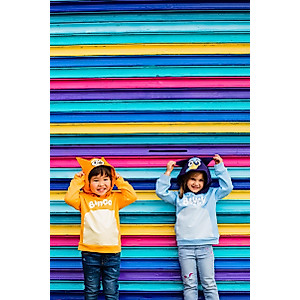 Bluey Bingo Toddler Boys Fleece Matching Family Pullover Hoodie 5T