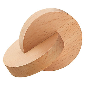 Skylety Interlocking Discs Montessori Toys for Educational Toys, Arts and Crafts Projects, Game Pieces and Ornaments