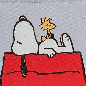 Lambs & Ivy Snoopy Foldable/Collapsible Storage Bin/Basket Organizer w/Handles