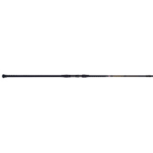 PENN Fishing Squadron III Surf Conventional Fishing Rod, Titanium/Red/Gold, 10' - Medium - 2pc (SQDSFIII1220C10)