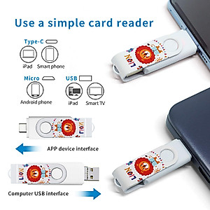 VATAPO 3.1 256GB 3 in 1 High Speed Flash Drive for Android Phones with OTG Function.Tablets,Laptop,Desktop,Photo Stick for Samsung Galaxy,LG,Google Pixel,Hua Wei.Moto,One Plus,etc.(Not for iPhone)