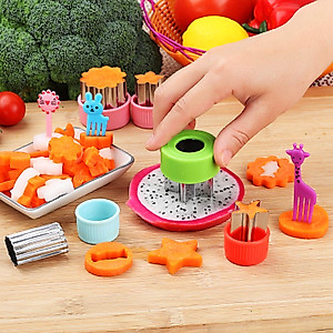Vegetable Cutter Shapes Set, 24pcs, Mini Cookie Cutters Set Fruit Cookie Pastry Stamps Mold with 30pcs Food Picks and Forks -for Kids Baking and Food Supplement Accessories