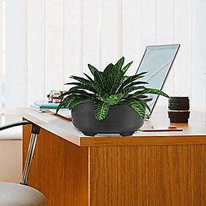 Healeved 2pcs Large Bonsai Pot Plastic Planter Reusable Oval Bonsai Training Pots Flower Planting Container Shallow Planter Pots