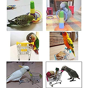Parrot Toys 7PCS, Mini Shopping Cart - Training Rings - Skateboard, Shoes and Ball - Parrot Standing Training Toys Parrot Intelligence Toy for Budgie Parakeet Cockatiel Bird Toy Part (Color Random)