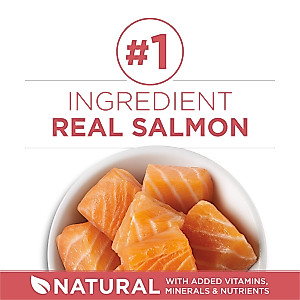 Purina ONE Natural Low Fat, Indoor Dry Weight Control High Protein Cat Food Plus Indoor Advantage with Real Salmon - 7 lb. Bag