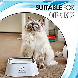 All Fur You Dog Water Bowl Splash Proof Anti Spill Slow Feeder Dish Cat Water Bowl No Slip Dispenser 35oz (1L) Drinking for Dogs Cats In Car Crate Safe Portable Pet Bowl Travel Dog Bowls Small Non Tip