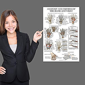 Palace Learning 2 Pack - Anatomy and Injuries of the Hand & Wrist + Anatomy and Injuries of the Foot & Ankle - Set of 2 Anatomical Charts - Laminated 18" x 24"