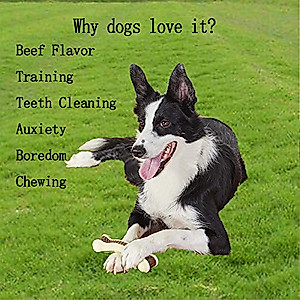 BETTEPROD Dog Chew Toys for Aggressive Chewers Large Breed,2 Pack Beef Flavor Indestructible Dog Teething Chew Toys Bones for Large/Medium/Small Puppies,Pet Toy with Durable Nylon