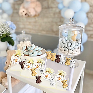 BUYWUMORE 18 Sets Bear Party Favors Mini Bear Keychains with Gold Organza Bags Thank You Tags for Baby Shower Bear Theme Party Return Favors Goodie Bag Decor Classroom Rewards Supplies（Mini Bear）