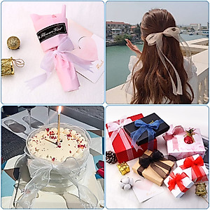 Hiswan 3/4 inch Sheer Organza Ribbon 50 Yards Black Chiffon Ribbon for Gift Wrapping Christmas Halloween Decoration Wedding Bouquet Crafts