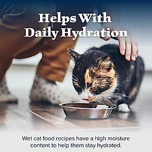 Blue Buffalo Wilderness Natural High-Protein Grain-Free Wet Food for Adult Cats, Turkey Paté, 5.5-oz. Cans, 24 Count