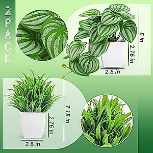 Der Rose Set of 2 Artificial Small Fake Plants for Home Living Room Bathroom Office Decor Aesthetic Indoor