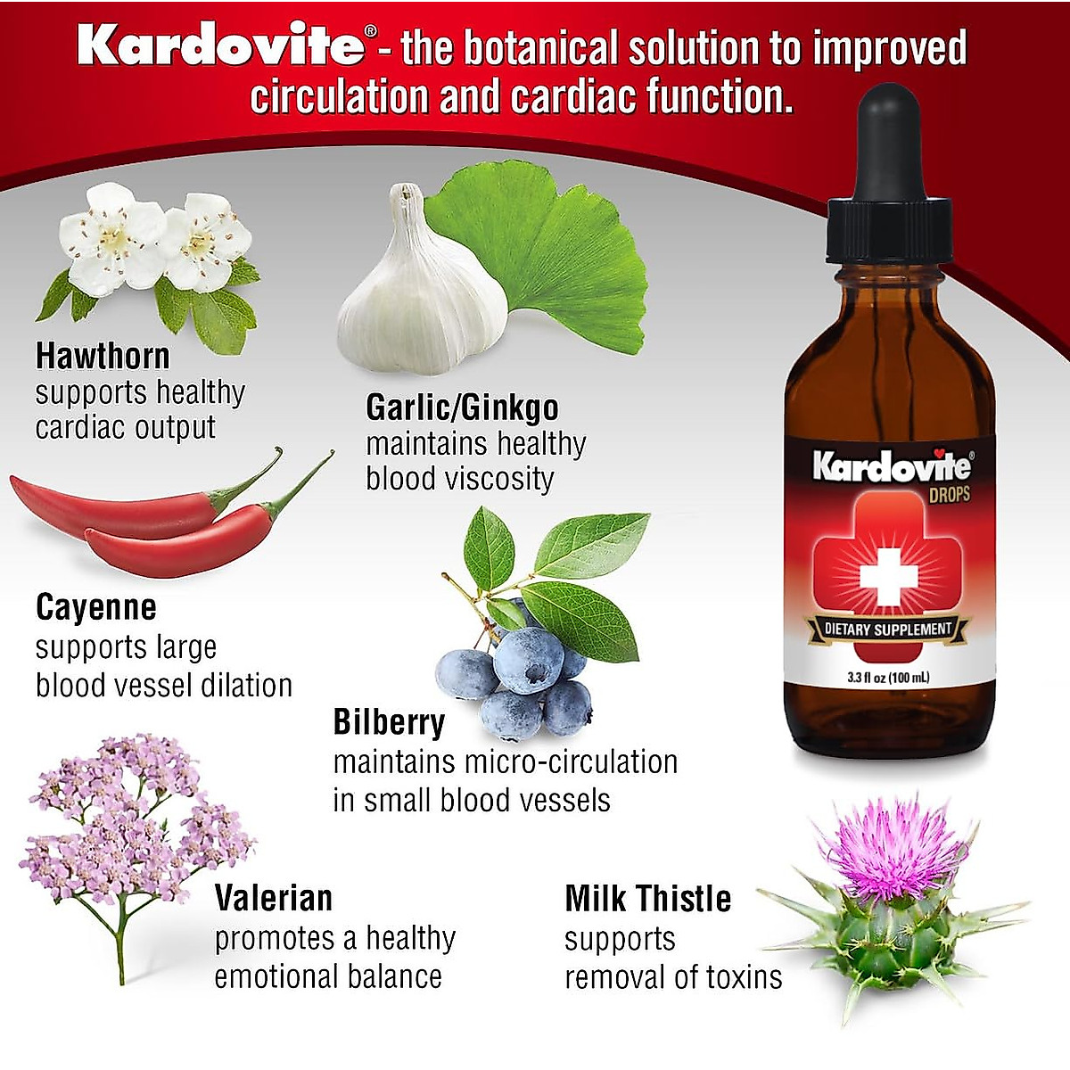 Kardovite Herbal Circulation Drops 100ml | Circulation Supplement with Hawthorn, Garlic, Cayenne, Milk Thistle, Bilberry, Valerian & Ginkgo | Supports Healthy Blood Flow & Vitality | Pack of 1
