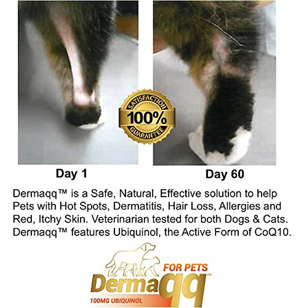 Dermaqq Ubiquinol - CoQ10 for Dogs and Cats Hot Spots, Hair Loss, Dermatitis Support (2 Boxes - 100MG softgels)