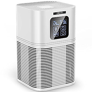 Air Purifiers for Bedroom Home Large Room 610 sq.ft, AMEIFU H13 Hepa Air Purifier Cleaner with Aromatherapy, with Air Filter for Pets Hair, Allergies, Smoke, Dust and Bad Smell (California Available)