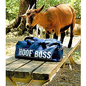 Basic Goat Hoof Trimmer Set – Electric Plug-in -110volt – Accessories Included