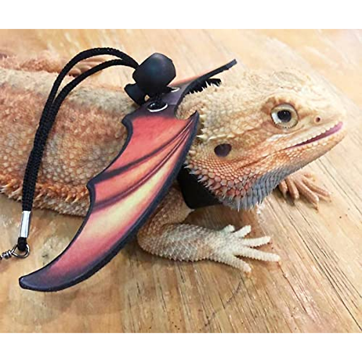 Bearded Dragon Lizard Leash Harness - Adjustable Dinosaur Wing Lizard Cool Leather Wings