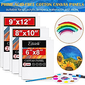 ESRICH Acrylic Paint Canvas Set,42 Piece Professional Premium Paint Kit with 1 Wood Easel,24Colors,10 Brushes,6 Canvases, Painting Supplies Kit for Kids,Students, Artists and Beginner