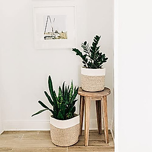 OrganiHaus 2-Pack Woven Plant Basket | Basket for Plants Indoor | Cachepot Rope Plant Baskets | Floor Planter Basket | Indoor Jute Basket for Plant Pots | Boho Plant Pot Covers - Brown (10 & 12 inch)