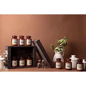 Paddywax Apothecary Artisan Hand-Poured Scented Candle, 8-Ounce, Persimmon Chestnut