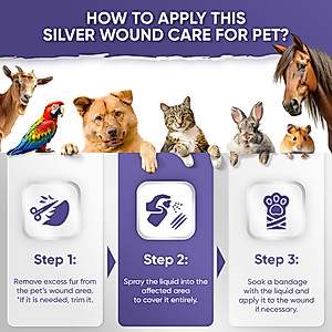 Dog Wound Spray | Cat and Dog Wound Care | Dog Itch Spray | Pet Wound Care + Lavender | Wound Care for Dogs | Cat Wound Care | Horse Wound Care | Wound Care for Cats | Chicken Wound Spray | 4 Oz