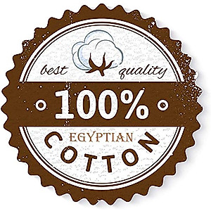 European Square Pillow Shams Set of 2 White 600 Thread Count 100% Egyptian Cotton Pack of 2 Euro 26X26 White Pillow Shams Cushion Cover, Cases Decorative Pillow Covers (White,European 26 x 26)