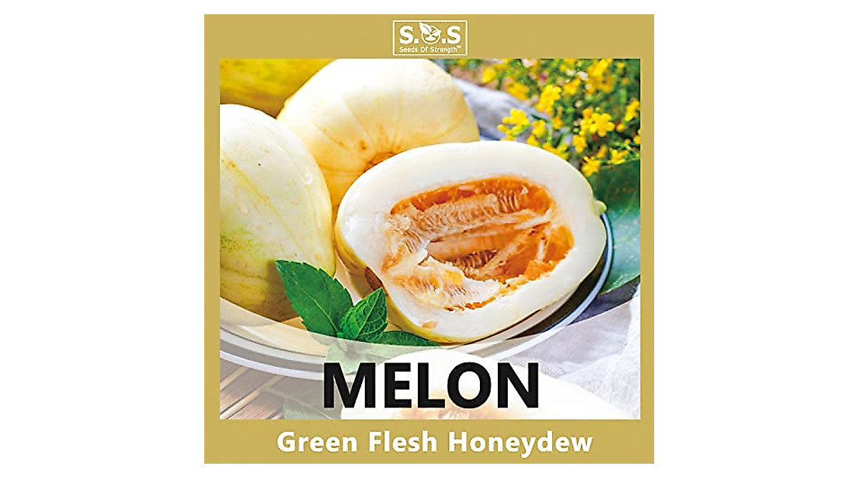 5 Variety Melon Fruit Seeds | Grow Your Own Home Garden