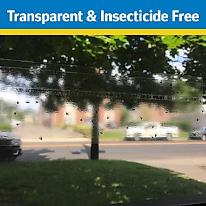 Raid Window Fly Traps, 4 Traps