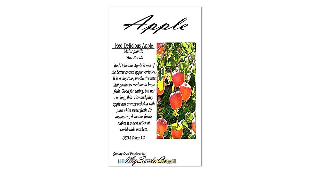 Big Pack Red Delicious Apple Seeds - 500 Tree Seeds