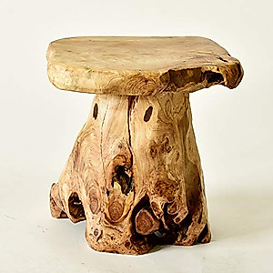 WELLAND Tree Stump Stool Live Edge, Natural Edge Side Table, Plant Stand, Nightstand, Mushroom Stool 14" Tall