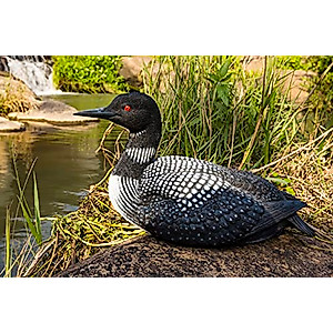 Hi-Line Gift Ltd. Sitting Common Loon Garden Statue