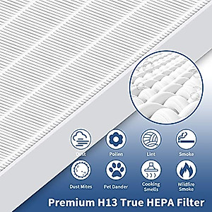 115115 HEPA Replacement Filter A for Winix PlasmaWave Air Purifier C535, 5300, 6300, 5300-2, 6300-2, P300, 2 Pack True HEPA Size 21 Filter