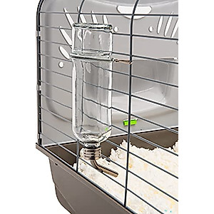 Lixit Chew Proof Flat Sided Water Bottles for Rabbits, Ferrets, Rats, Birds, Hamsters, Guinea Pigs, Chinchillas Gerbils and Other Small Animals. (12 Ounce (Pack of 1), Clear)