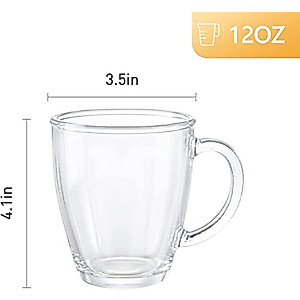 [6 PACK,12 OZ] DESIGN•MASTER Premium Glass Coffee Mugs with Handle,Transparent Tea Glasses for Hot/Cold Beverages, Perfect Design for Americano, Cappuccino, Latte or Tea and Beverage.